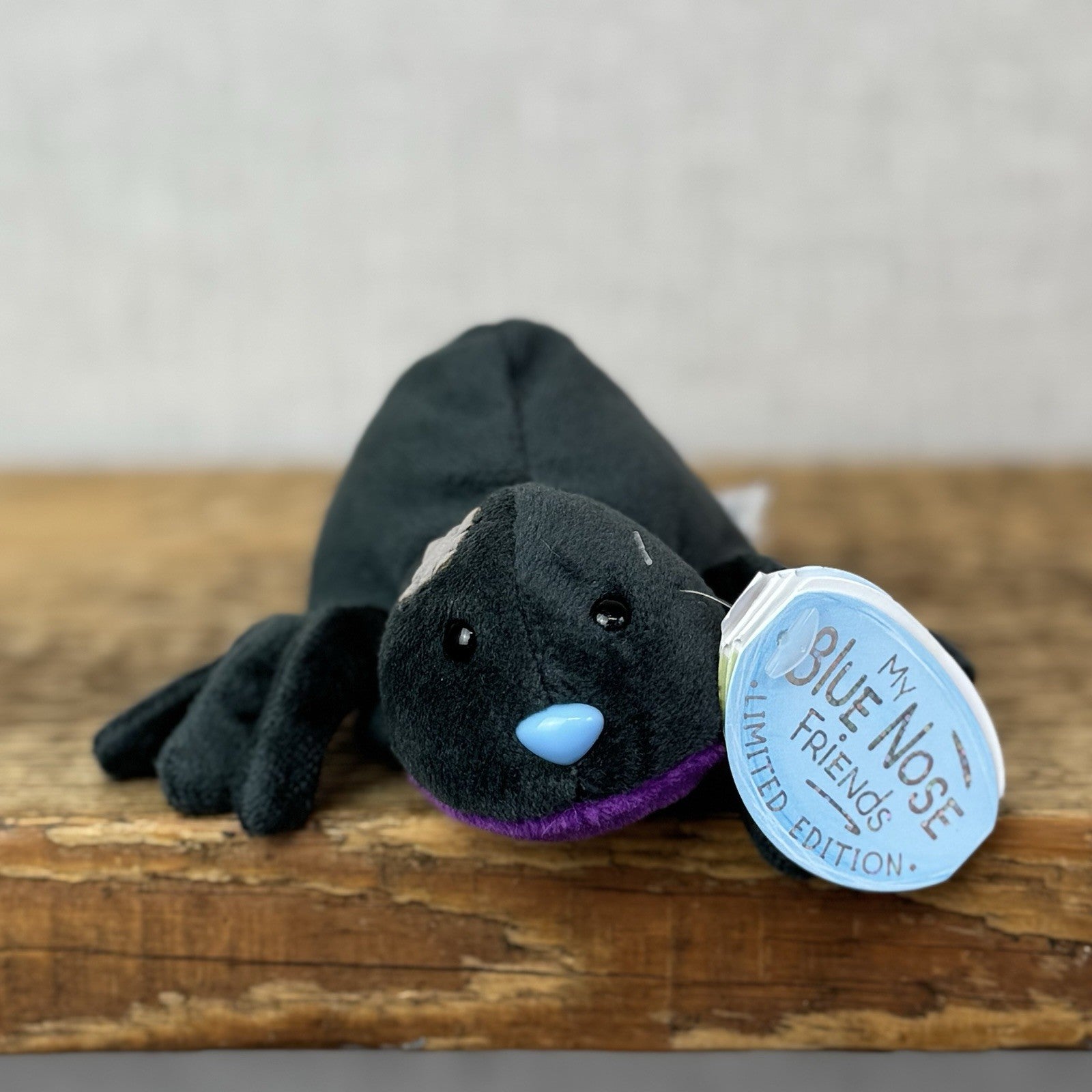 Blue Nose Friends Limited Edition Spiderella #56 Black Spider Mini Wit ...