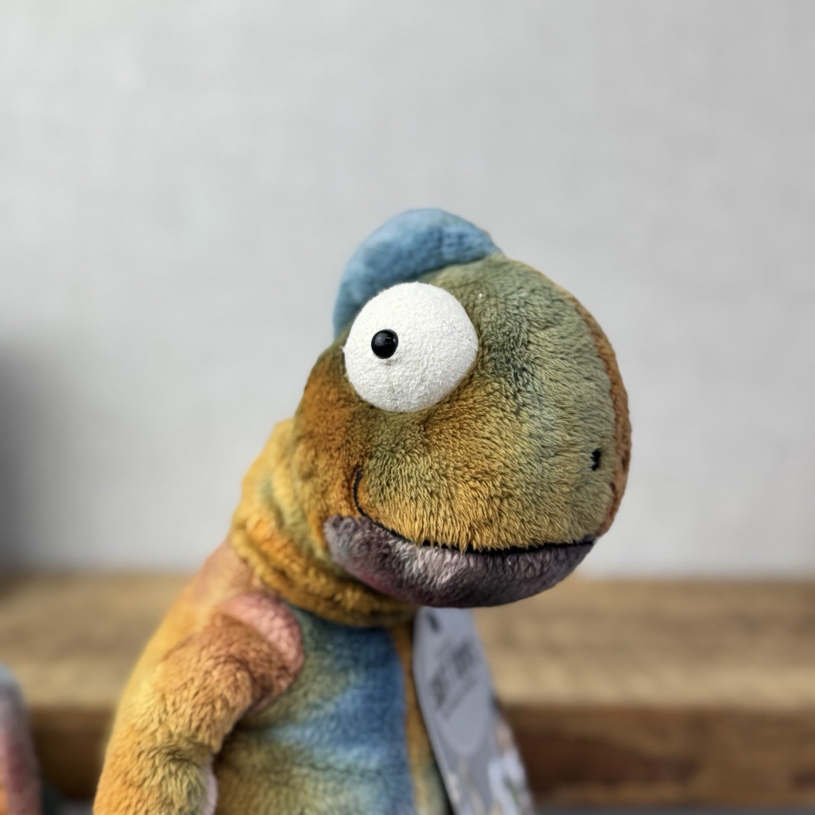 Jellycat Colin Chameleon - Jellycat Multicoloured Lizard Soft Toy - Me ...